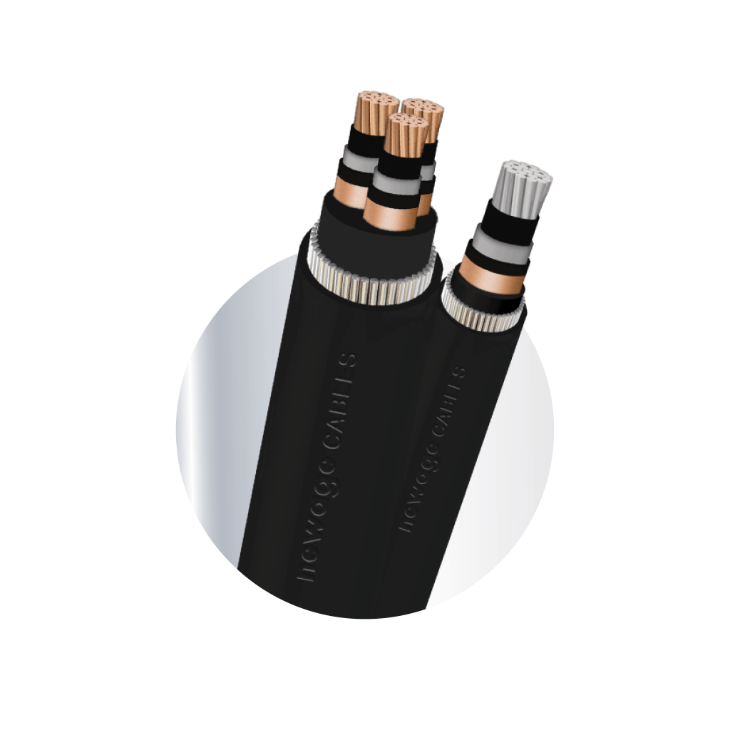 Newage Cables No. 1 cables in Pakistan Since 1956