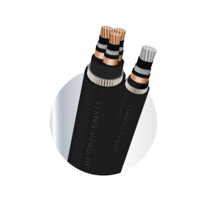 Products – Newage Cables No. 1 cables in Pakistan Since 1956