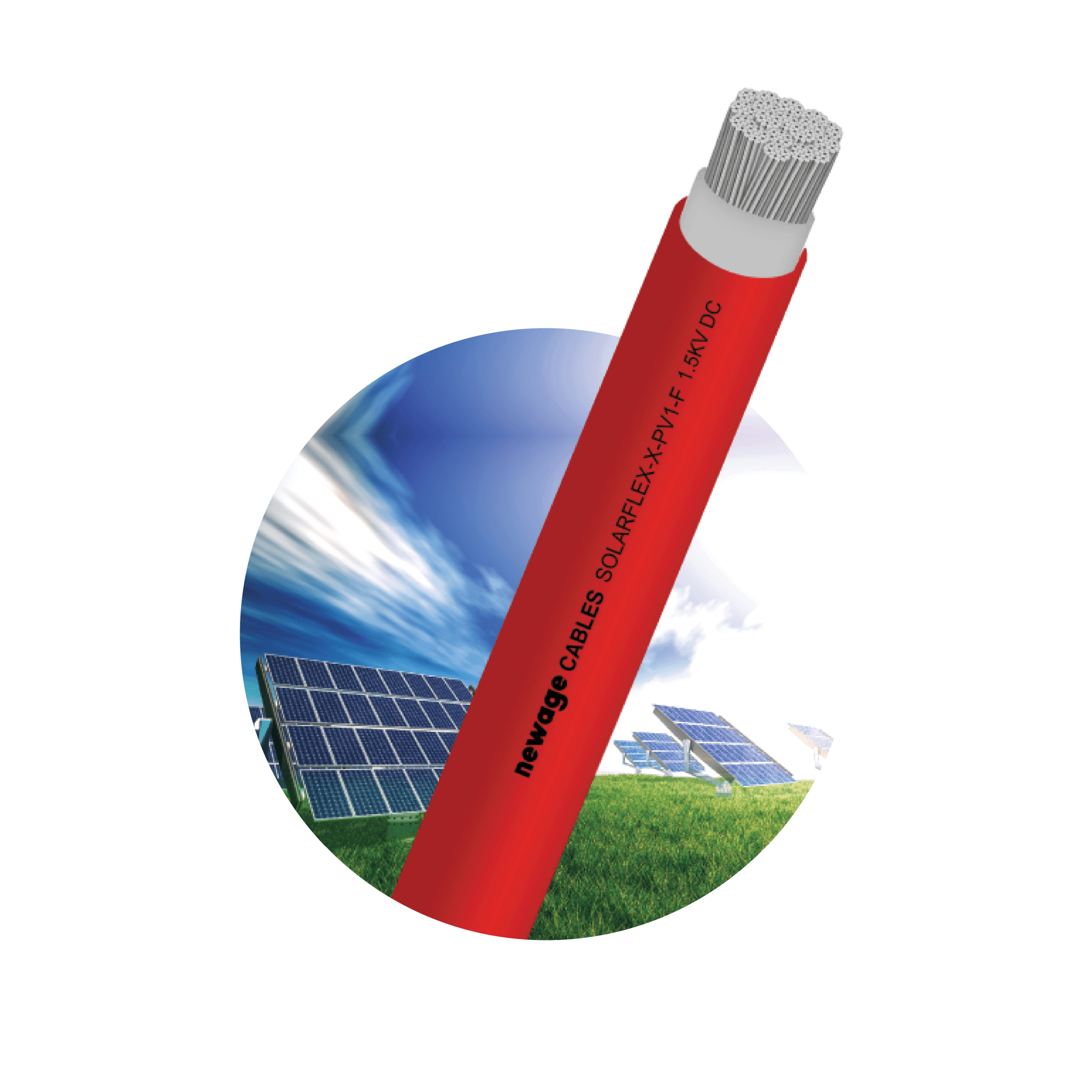 Newage Cables No. 1 cables in Pakistan Since 1956